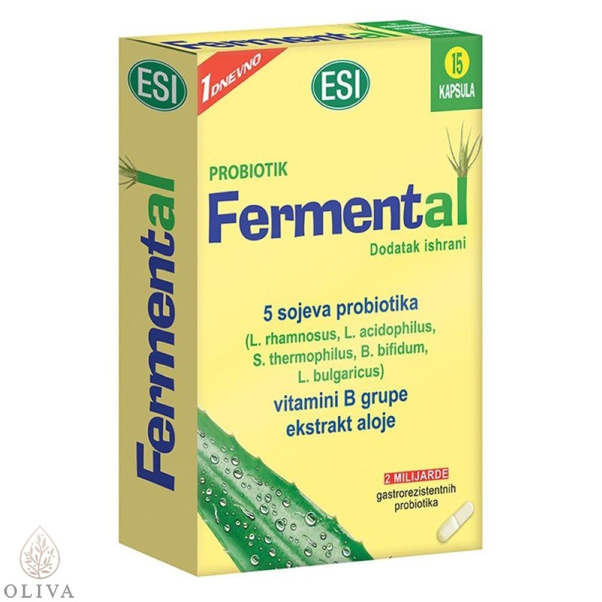 Fermental Probiotik Sa Alojom I Vitaminima B Grupe 15 Caps Bgb Esi ...